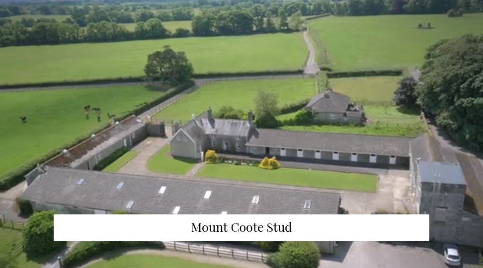 Home | Millard Bourne Associates